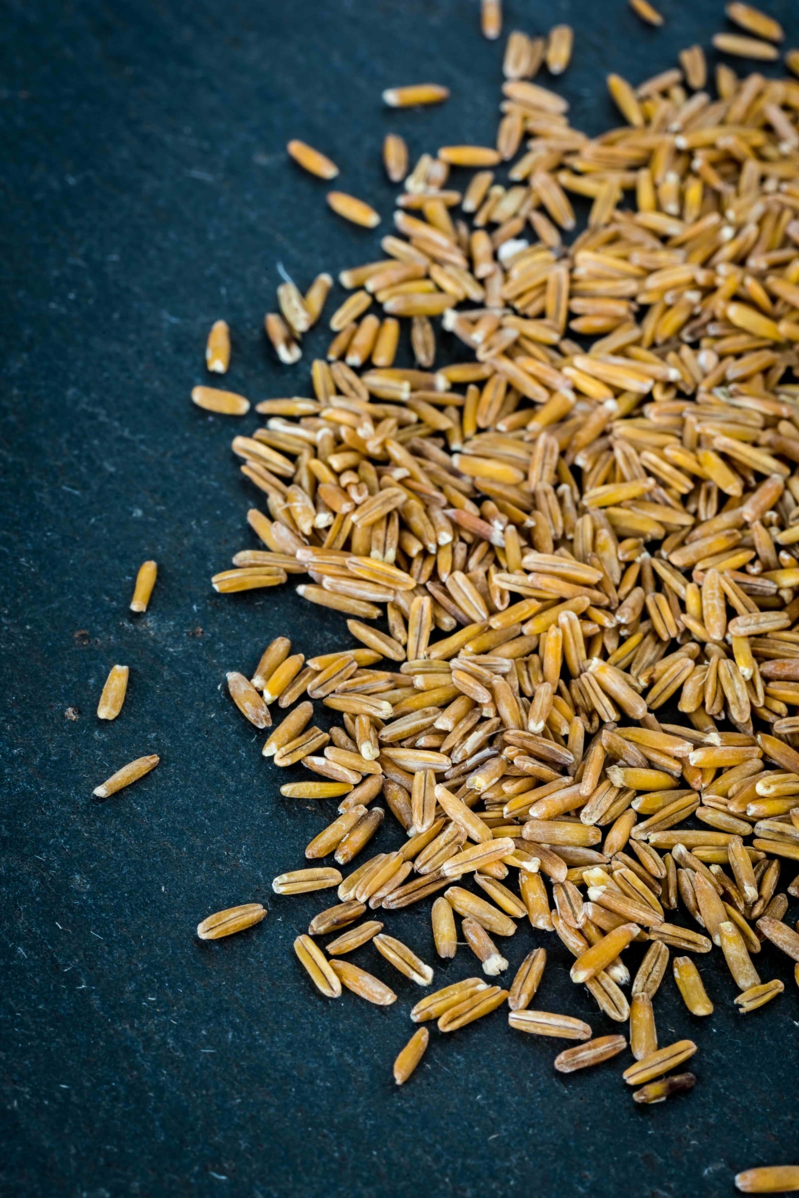 Perennial Grain Revolution - The Land Institute - Join Now
