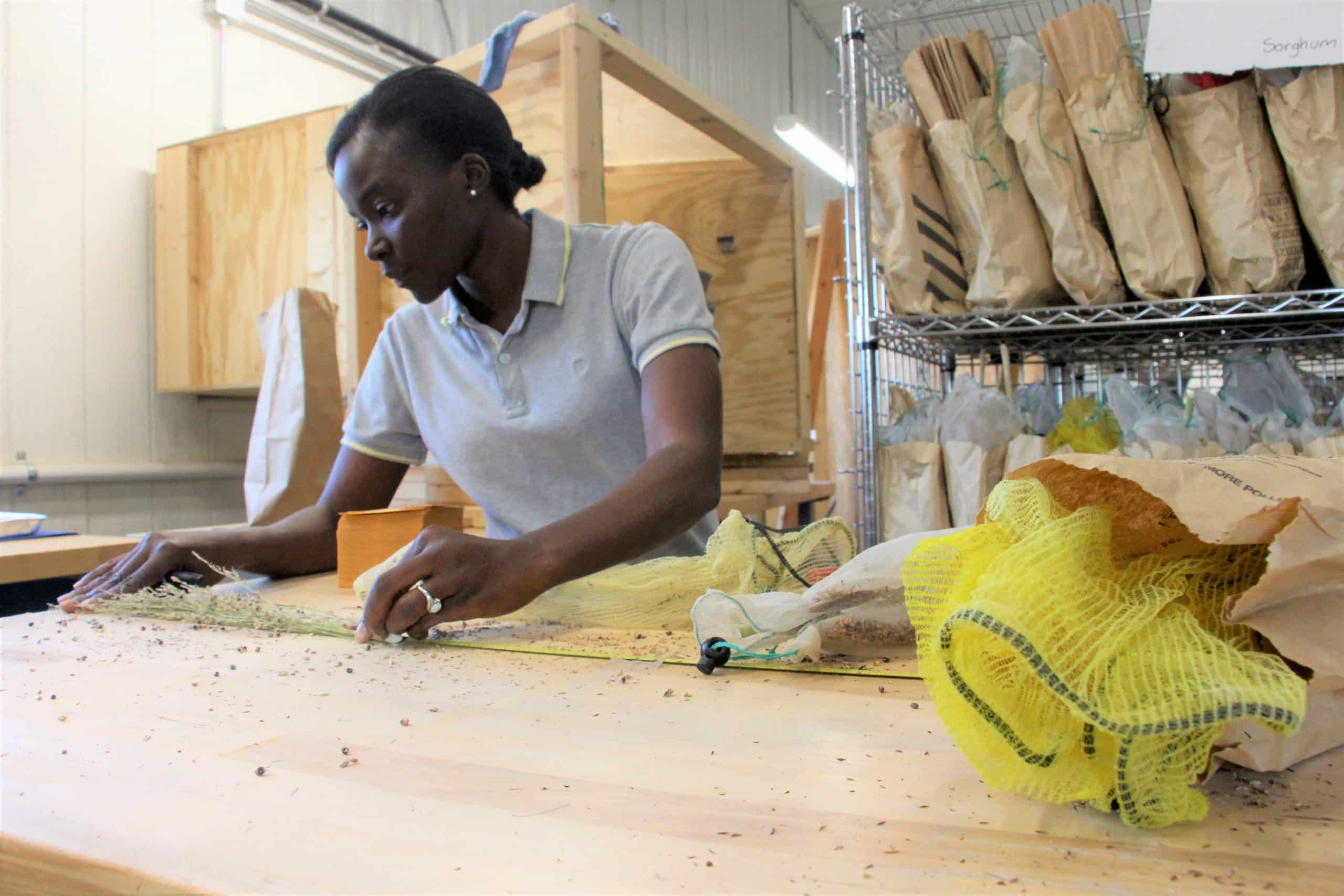 Interview with Pheonah Nabukalu - The Land Institute