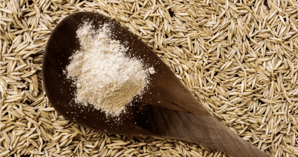 Malting Kernza Perennial Grain - The Land Institute