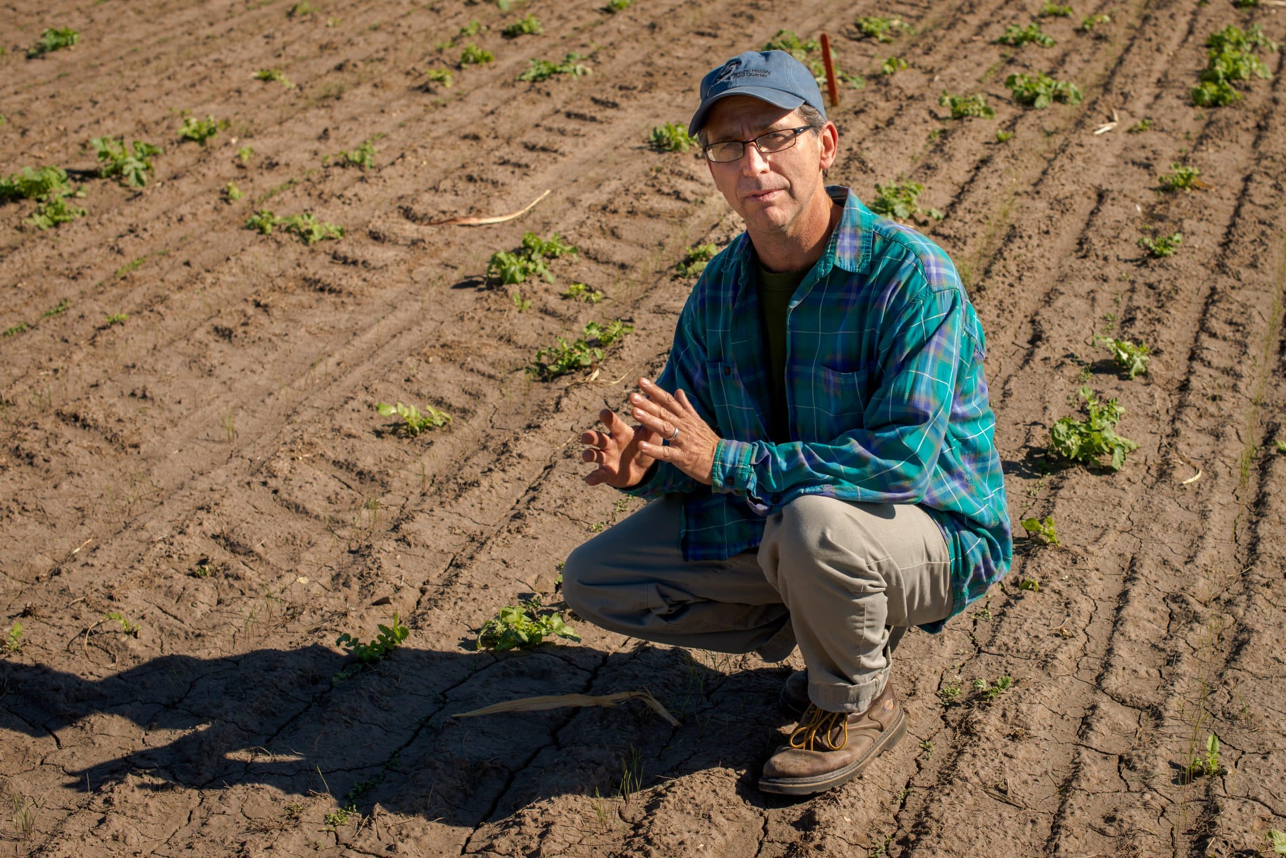 Interview with an Ecologist: Tim Crews - The Land Institute