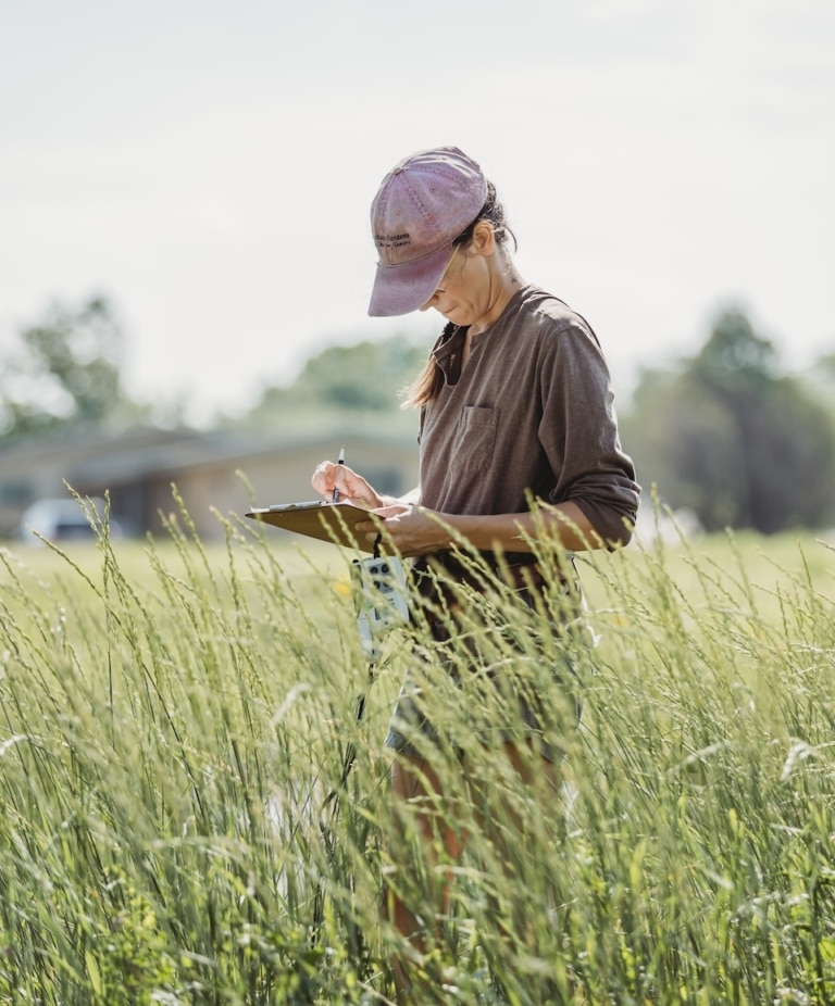 Kernza: Innovating Sustainable Farming - Explore Now