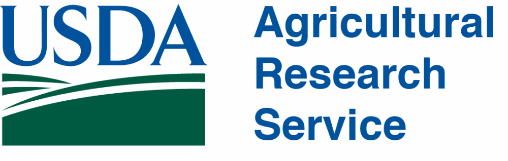 Perennial Wheat Revolution - Discover Sustainable Farming