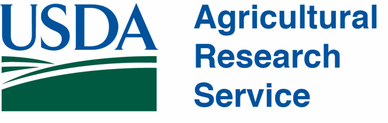 Perennial Wheat Revolution - Discover Sustainable Farming